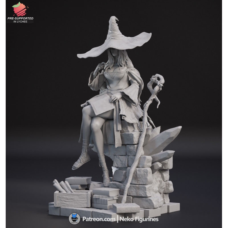 Recluse ( Elden Ring_ Nightreign ) Taille Full Size