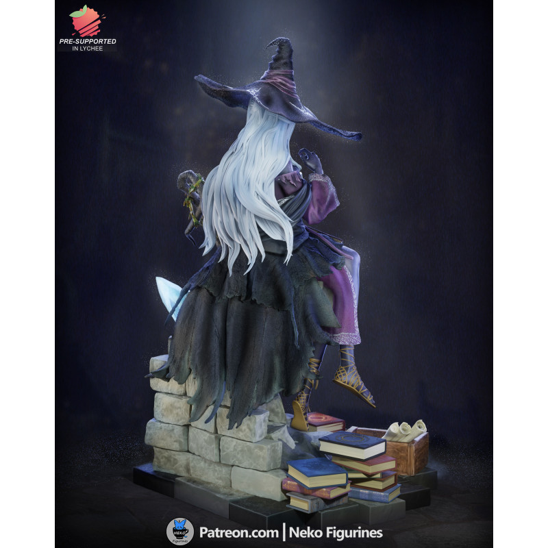 Recluse ( Elden Ring_ Nightreign ) Taille Full Size